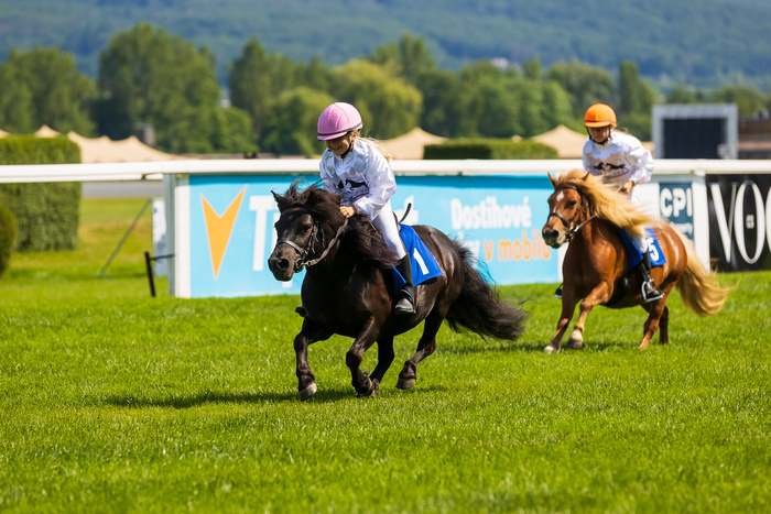 Shetland-pony-race-team-cz